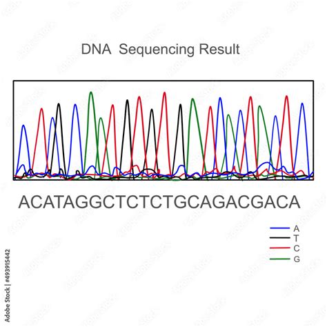 The Analytical Picture Of Dna Sequencing For Detection The Genome Sequencing Of Unknown Sample