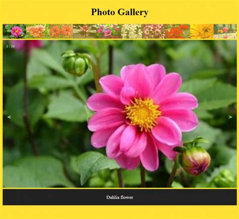 photo gallery project in html css and js with source code and report