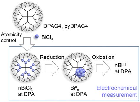 schematic illustration of electrochemical reactions about atomicity