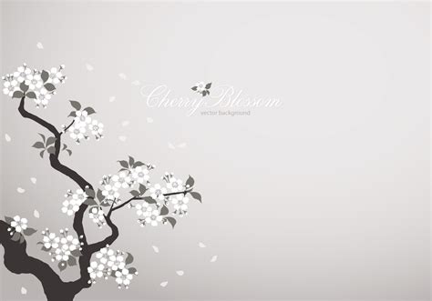 White Cherry Blossom Background Vector 61920 Vector Art At Vecteezy