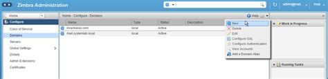 zimbra mail server active director authentication