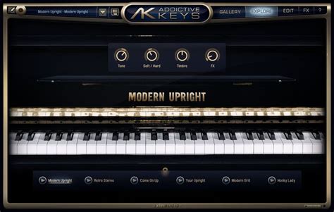 Xln Audio Addictive Keys Modern Upright Pcmac Cd Key Buy Cheap On