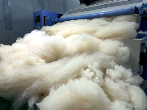 Угаасан ноолуур боловсруулаагүй арьс ширийг экспортод гаргана Хүнсний хувьсгал