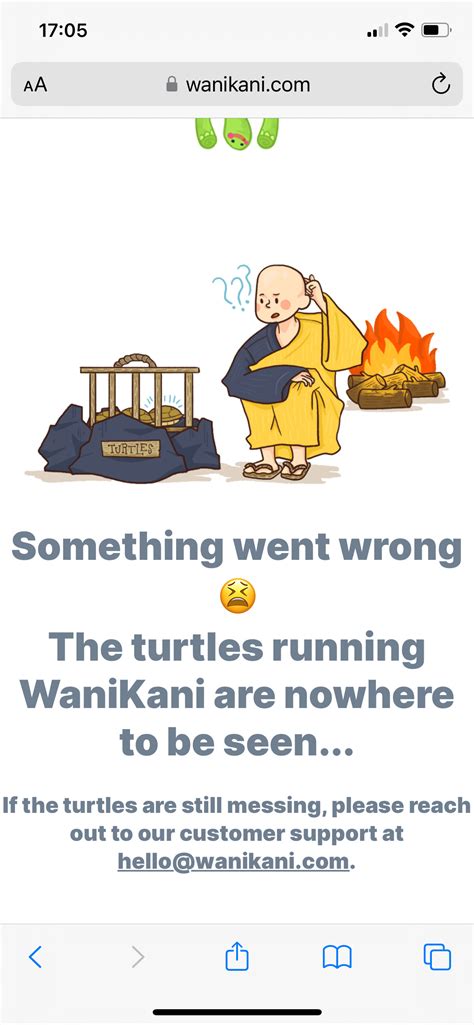 Missing Turtles Bugs And Errors Wanikani Community