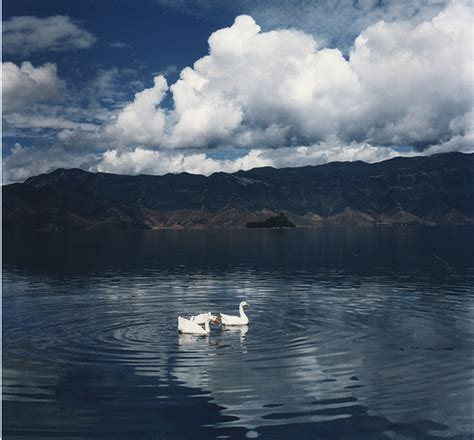 Dongba Landscapes And Lijiang