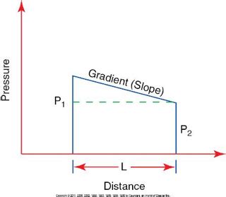 LECTURE TYPES OF FLOW AND THE DOPPLER EFFECT CH Flashcards Quizlet