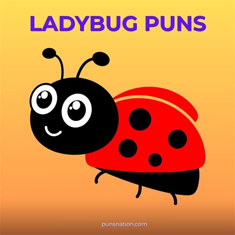 150 Ladybug Puns Thatll Make Your Heart Flutter