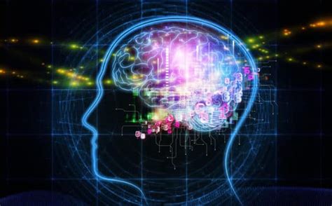 The Difference Between Intelligence And Intellect Oshotimes