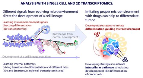 Returning Neural Crest Derived Tumors Back Onto Developmental Path