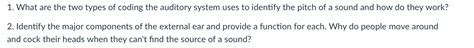 Solved 1 What Are The Two Types Of Coding The Auditory Chegg Com