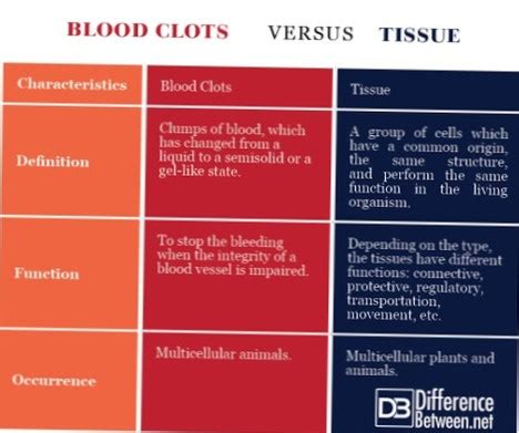 Difference Between Blood Clots And Tissue Differbetween