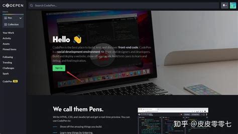 前端利器——炫酷的codepen 知乎