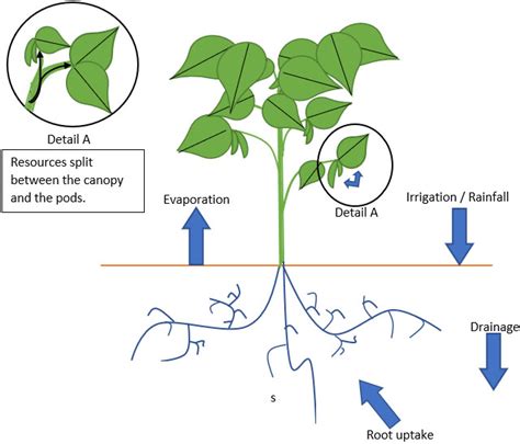 Society For Industrial And Applied Mathematics Check Out Siams Latest Book Modern Nonconvex