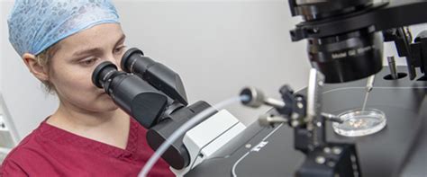 World Embryologist Day 2023 Complete Fertility