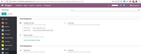 10 Wrong Path For Etherpad Configuration In Project Task · Issue