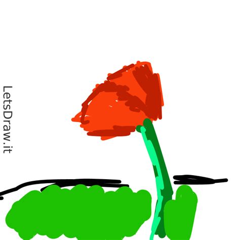 How To Draw Poppy 33iskmn1o Png LetsDrawIt