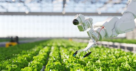Agricultural Robotics Revolutionizing Farm Operations
