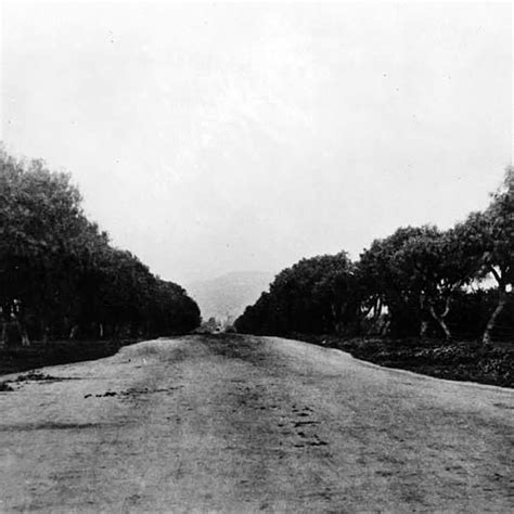Los Facing West On Beverly Now Sunset Boulevard 1883 What We Now