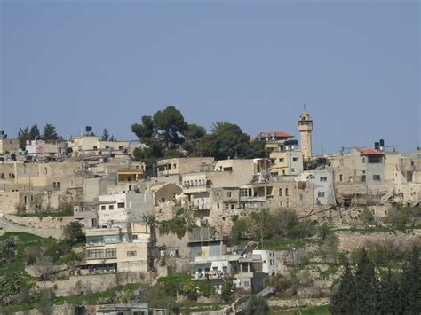 Sabastia Village جامع النبي يحيى سبسطية تاريخه يعود تاريخ جامع النبي