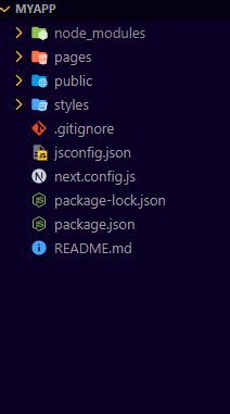 Javascript Localhost Server Is Not Running In My Next Js Project After Running Npm Run Dev