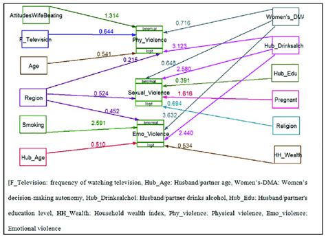 Gsem For Determinant Factors Of Intimate Partner Violence Among
