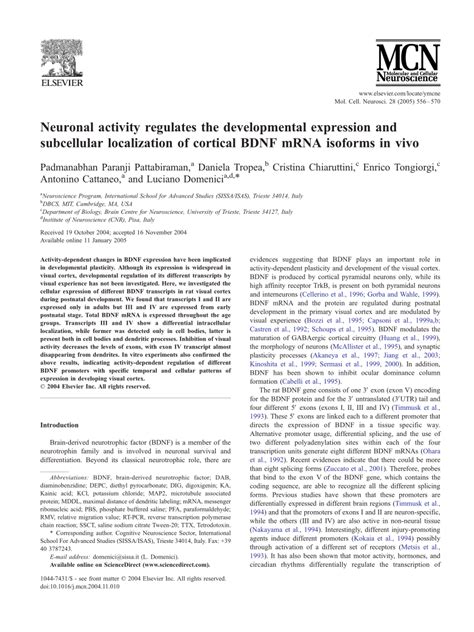 Pdf Neuronal Activity Regulates The Developmental Expression And Subcellular Localization Of