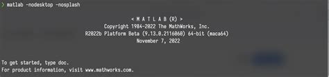 Error Running On Macos Issue Shinyypig Matlab In Vscode Github
