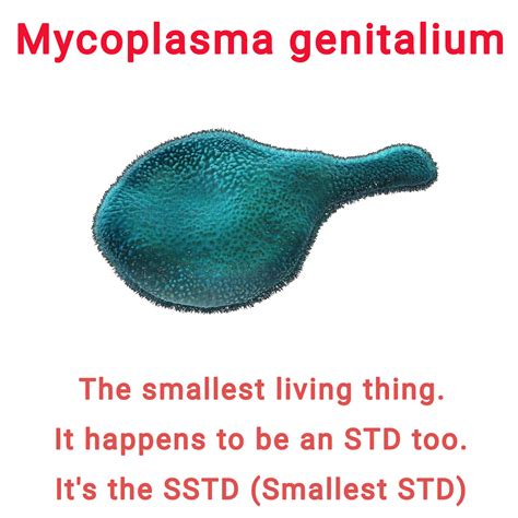 The Smallest Living Organism R Mildlyinteresting
