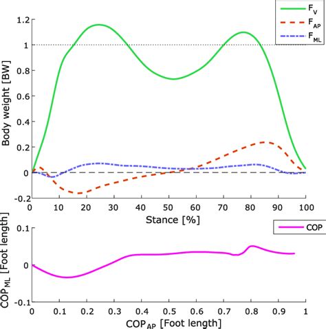 Top The Characteristic Shape Of The Three Components Of The Grf The Download Scientific