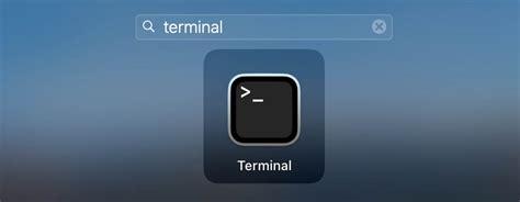 How To Recover Deleted Files Using Mac Terminal Solved