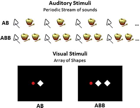 Auditory And Visual Components Of The Stimuli Download Scientific