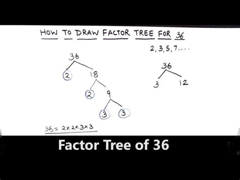 how to draw factor tree of 36 factor tree method of prime
