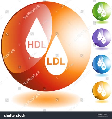 Hdl Ldl Cholesterol Stock Vector Illustration Shutterstock