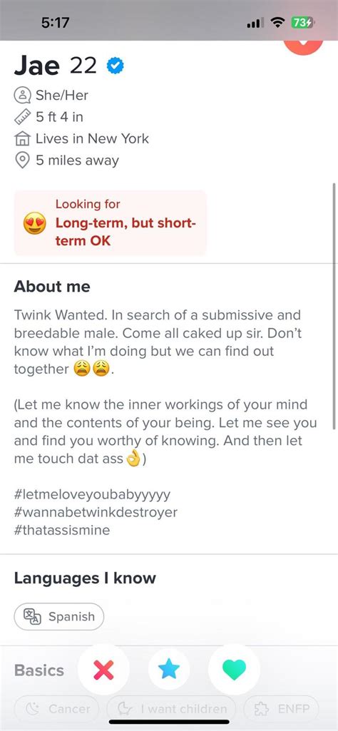 This Is The Best Bio I Have Ever Seen Tinder Tinder Know Your Meme