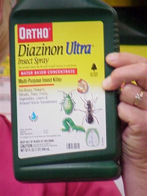 EPA: 97% of Endangered Species Threatened by 2 Pesticides