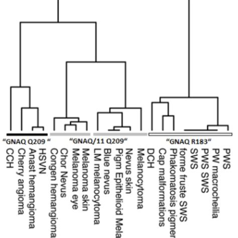 Unsupervised Hierarchial Cluster Analysis Of The Gnaqgna11 Mutation