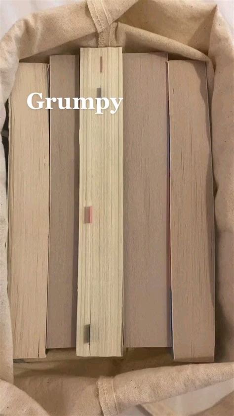 Grumpy X Sunshine Book Recommendations