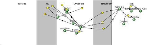 biomodel 211839191 vcell modeling and analysis software
