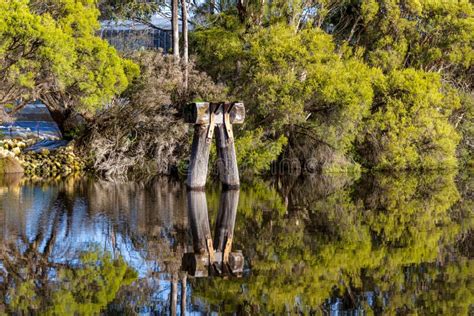 Vasse Wonnerup Wetlands The Lower Vasse River Is Made Up Of The Vasse
