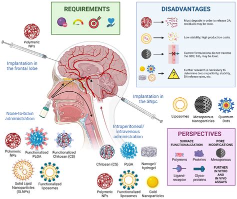 Nanomedicine In The Face Of Parkinsons Disease From Drug Delivery