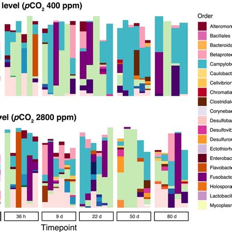 Stacked Bar Plot Of The Relative Abundance Of Bacterial Orders