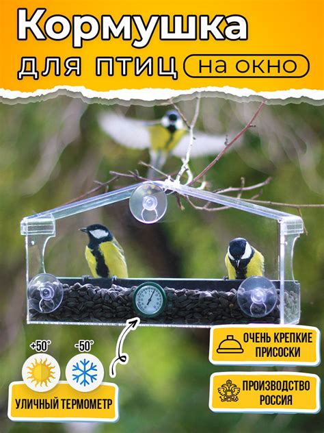 Кормушка для птиц пластиковая – купить уличные кормушки для птиц ...