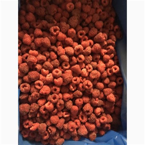 Продаєм заморожену малину купити заморожену малину — Agro Ukraine