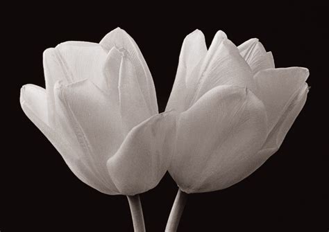 How To Overcome Sex Addiction All About Today