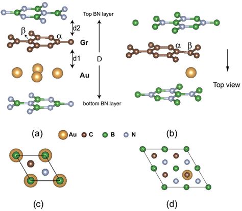A Side View Of One Monolayer Au Doped H Bn Graphene H Bn The Top Bn Download Scientific