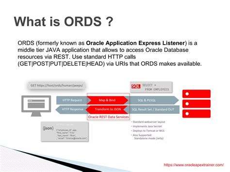 oracle apex intoduction pptx