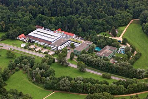 Scientists Developing Bio Based Carbon Fibres Being Showered With Requests