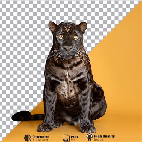 Siberian Leopard Isolated Premium Ai Generated Psd