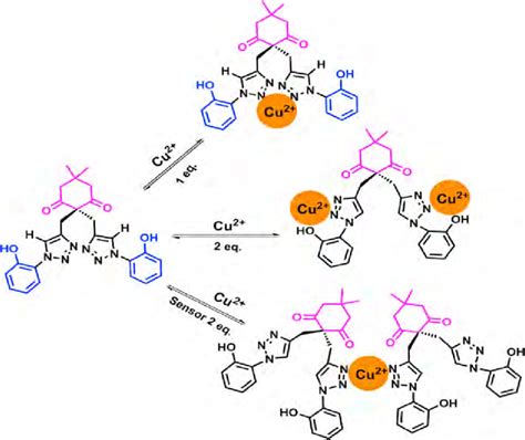 Proposed Binding Mode Of Sensor 64 With Cu 2 Ref 86 Download Scientific Diagram