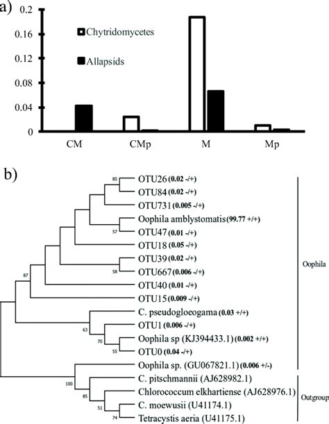 Raw Relative Abundance Of Reads For Allapsids Chytridomycetes And Download Scientific Diagram